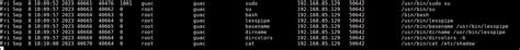 GitHub Qjawls EBPF Remote Client Tracing EBPF Agent To Trace Processes Back To SSH Client IP