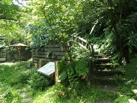 基隆 樂利山 遠眺新山水庫 時空旅人