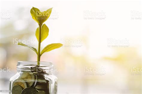 식물 복사 공간 자연 배경을 흐리게에 유리 항아리에 동전에서 성장 및 투자 비즈니스와 금융 성장 개념에 대 한 컬러 필터 효과 추가 0명에 대한 스톡 사진 및 기타 이미지