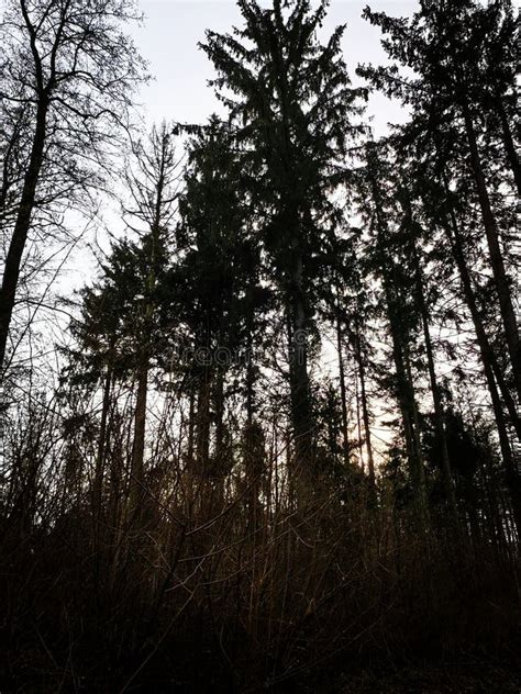 Discover The Beauty Of Northern Germany In These Stunning Landscape