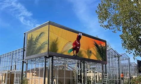 LED Display Types Which One Is Best For Your Event Or Venue Sryleddisplay