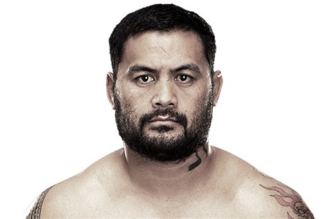 Ufc On Fuel 8 Keys To Victory For Mark Hunt News Scores Highlights