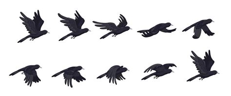 Premium Vector Crow Flying Animation Animated Fly Raven Bird Sequence Cycle Halloween Enemies