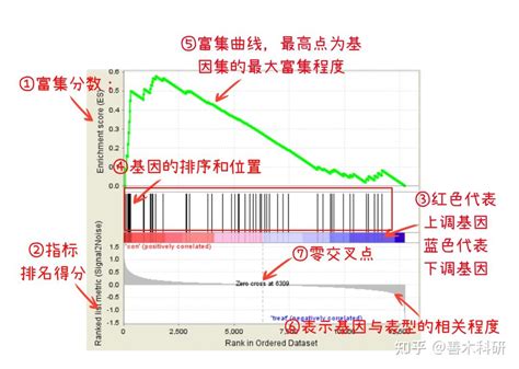 读文献先读图：gsea图怎么看？ 知乎