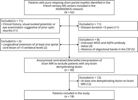 Flowchart Of The Patients Included Download Scientific Diagram