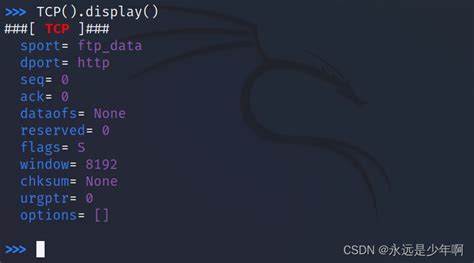 Scapy定制数据包详解linux自定义数据包 Csdn博客 Scapy定制数据包详解linux自定义数据包 Csdn博客