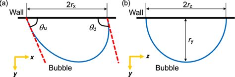 Notations Of A Single Wall Sticking Deformable Bubble Rx Streamwise Download Scientific