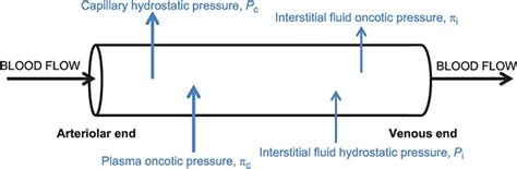 Hydrostatic Pressure Capillary