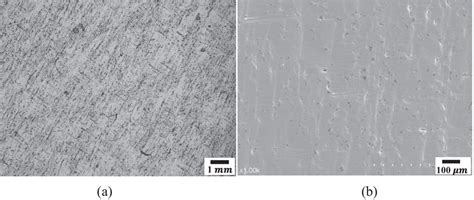 Initial Microstructure Morphology Of Nbtivzr05a Om B Sem Download