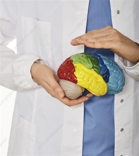 Neurology Conceptual Image Stock Image F036 6085 Science Photo Library