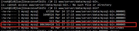 mysql 数据库误删怎么办，亲测数据恢复成功 mysql bin 000005怎么恢复 csdn博客