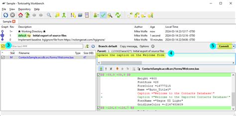 Access Version Control A Quick Start Guide