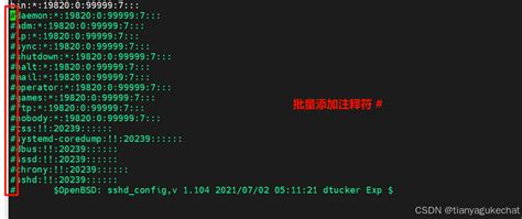 Vim 高级用法vim高级用法 Csdn博客