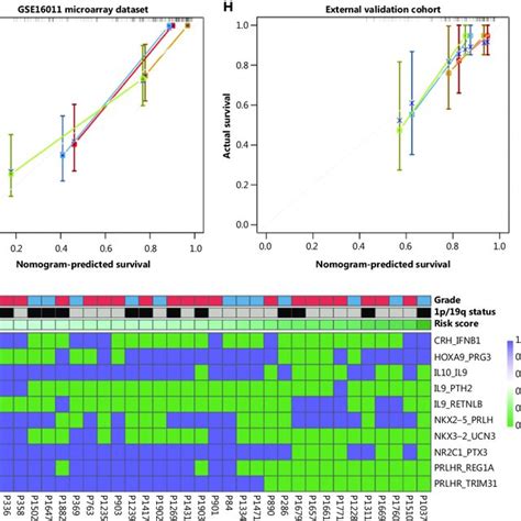 The Performance Of The Nomogram In The Training And Validation Cohorts