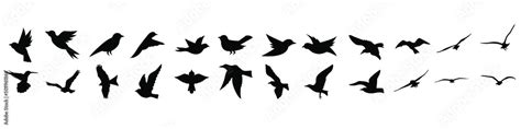 Birds Icon Vector Set Fly Illustration Sign Collection Nature Symbol