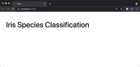 Using Voilà To Turn Your Jupyter Notebook Into A Web Application By Emma Claire Mccarthy Medium