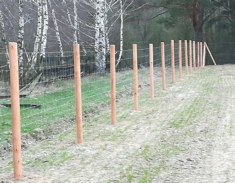 Siatka leśna · STAL - producent ogrodzeń