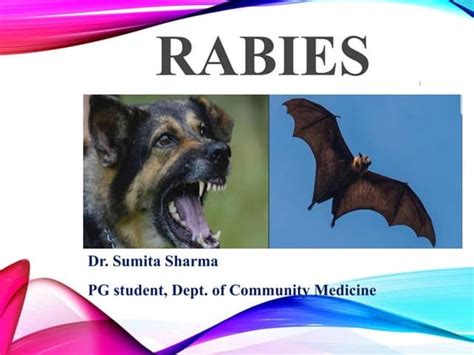 Rabies Prevention And Control Pptx