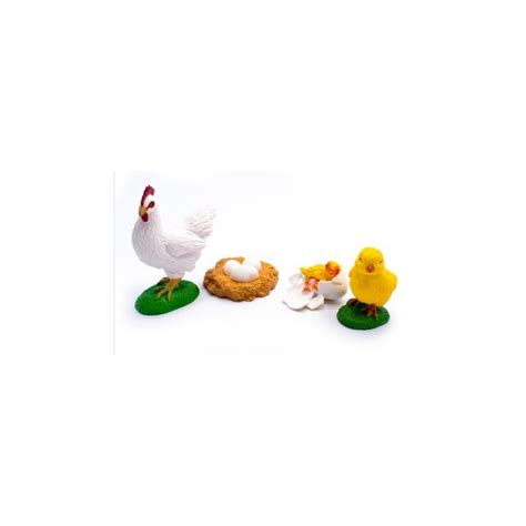 Life Cycle Objects Chicken 4pc
