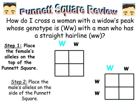 PPT How Do You Do A Punnett Square PowerPoint Presentation Free Download ID 676200