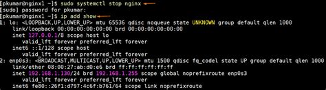 How To Setup Highly Available NGINX With KeepAlived In Linux