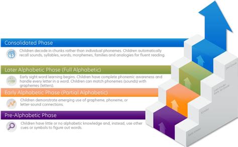 The Science Of Reading Part V