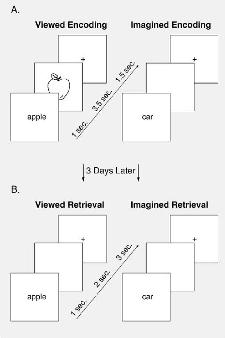 Experimental Design Of Blocked Encoding And Event Related Retrieval Download Scientific Diagram
