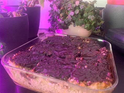 Anum Rasheed On Linkedin Work Experience People Diversity Culture Inclusion Labratory