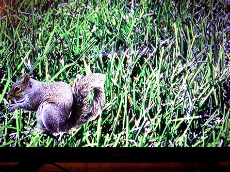 Picsfrombox Object Detection Dataset By Hakunamatata