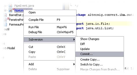 Subversion Sous Netbeans
