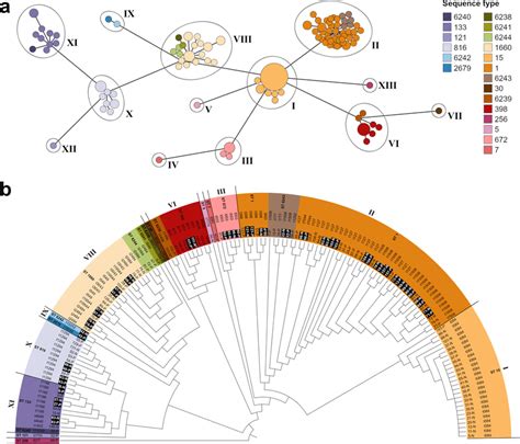 Genetic Relationship Between The Isolates A Minimum Spanning Tree Of Download Scientific
