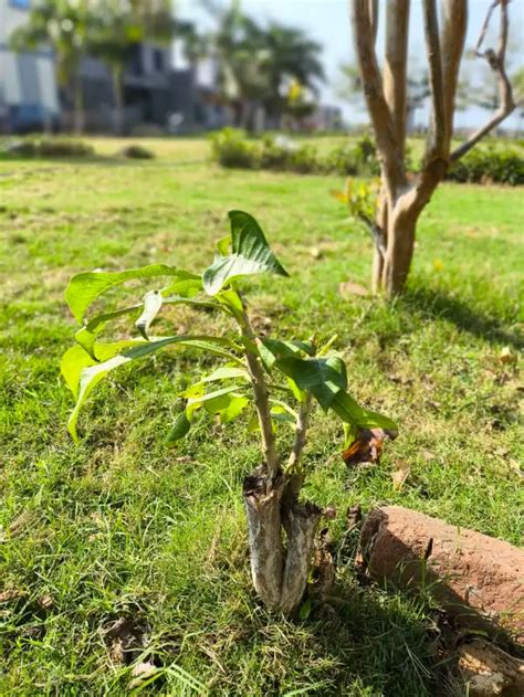 POCO X6 Pro Detailed Review A Proper Mid Range Gaming Smartphone