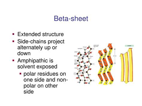 Ppt Protein Structure Powerpoint Presentation Free Download Id 4519007