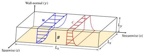 Schematic Diagram Of The Model Of A Turbidity Current Periodic Download Scientific Diagram