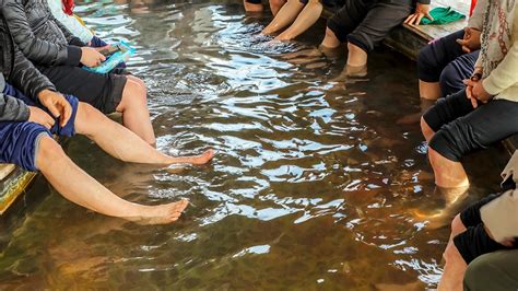 1년 만의 재개장 그 풍경 그대로 연 20만 명 이상 방문하는 온천 여행지 여행을말하다