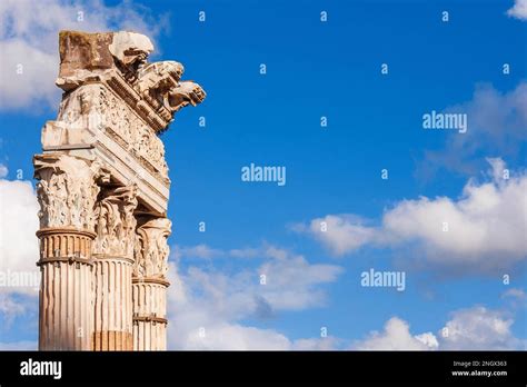 Archaeology And Ancient Roman Architecture Temple Of Venus Genetrix Columns From Caesar S Forum