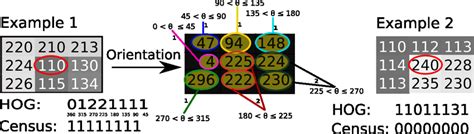 4 An Example Of A 3 × 3 Hog Descriptor Vs A 3 × 3 Census Descriptor Download Scientific