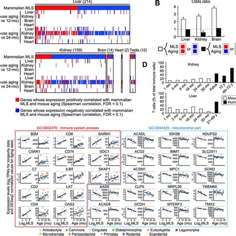 A Significant Similarity Between Gene Expression Patterns Associated