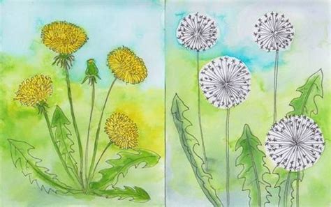 Как с детьми нарисовать одуванчик