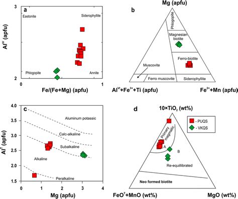 Biotite Compositions Of Puqs And Vkqs A Aliv Versus Fefe Mg Plot