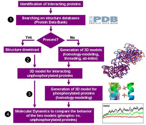 Routine Pipe Line For Structural Bioinformatics Analysis Of Protein