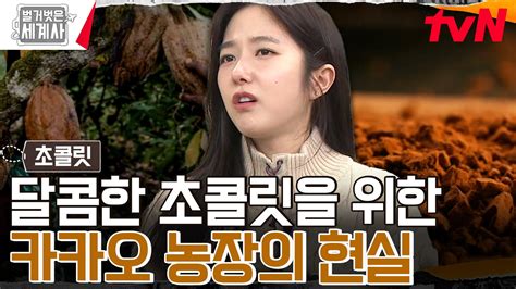 ＂초콜릿은 내 살과 같아요＂ 현대판 노예제도가 있는 카카오 농장 Tvn 240312 방송 Zum Tv
