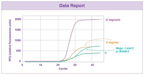 Bacterial Vaginosis Test Bacterial Vaginosis Pcr NTL Biotech