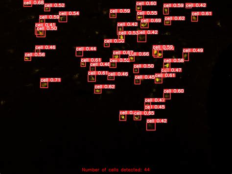 Detected And Counted Cells In Sample Images From Test Dataset 44 Download Scientific Diagram