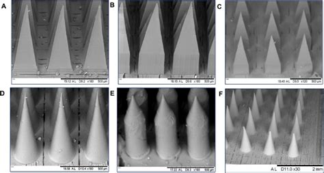 Sem Photos Of 6 Polymeric Dmn Arrays Created Using 3d Printed Mn
