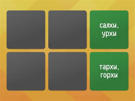 Балархай эгшгийн зөөлрүүлэх үүрэг Matching Pairs