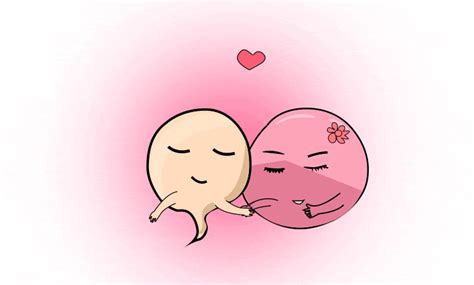 试管婴儿反复移植失败是什么因素造成的？ 知乎