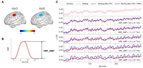 Simulation Of Fnirs Data A The Perturbation Location Of Both Hbo And