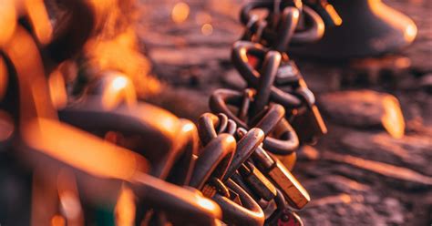 Streamlining Supply Chain Processes With Dapp Integration