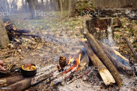 배경에 텐트와 캠프 파이어에 관광 주전자 화재에 대 한 막대기로 손을 가정 주방에 대한 스톡 사진 및 기타 이미지 가정 주방 가정의 방 관광 Istock